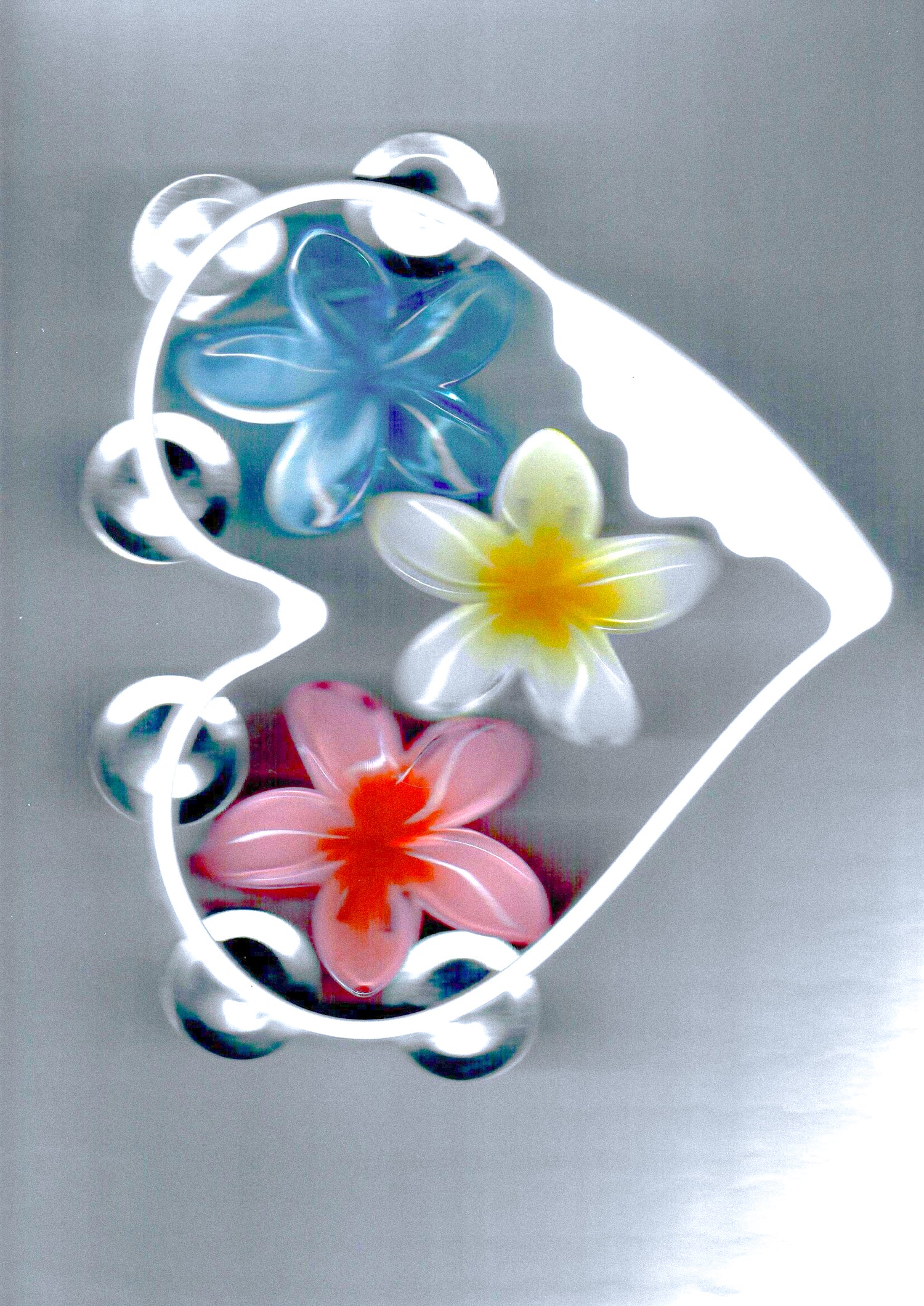 reward if found | Official Website and Online Shop – REWARD if FOUND